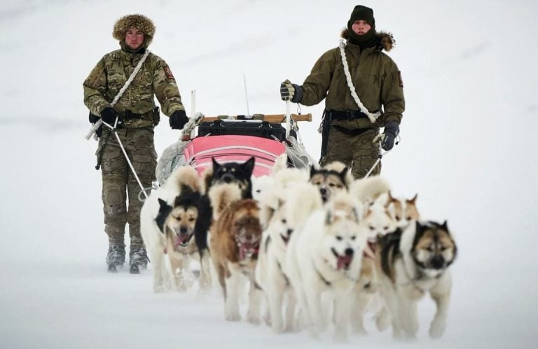 Sirius Dog Sled Patrol: H επίλεκτη μονάδα του Βασιλικού Ναυτικού της ...